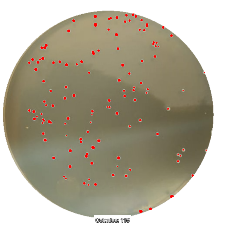 AI Colony Counter Software - Free Online Colony Counter